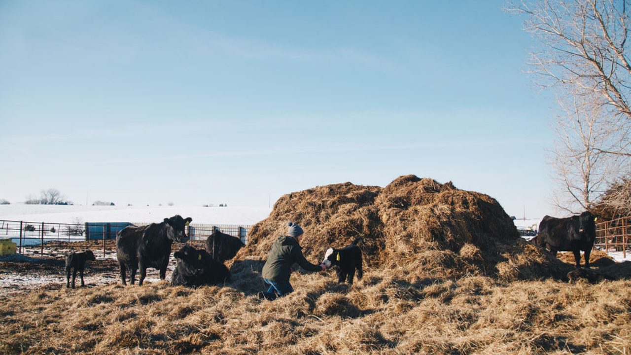 Best Dry Aged Beef Blog - Oak Barn Beef